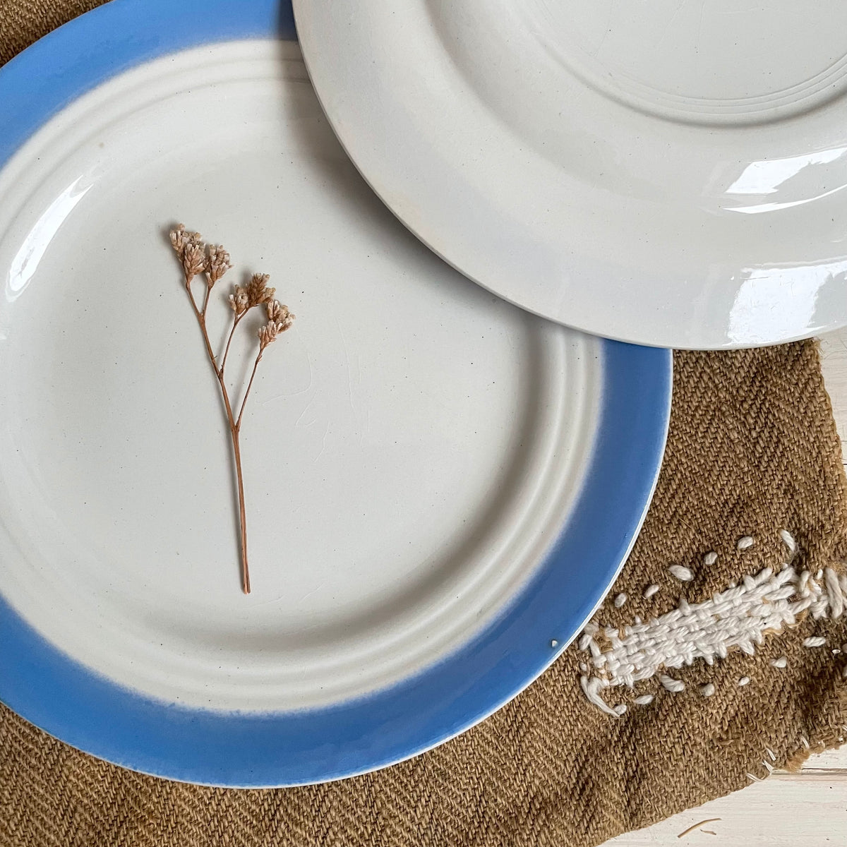 Two French Blue Rimmed Plates – No.4 Vintage