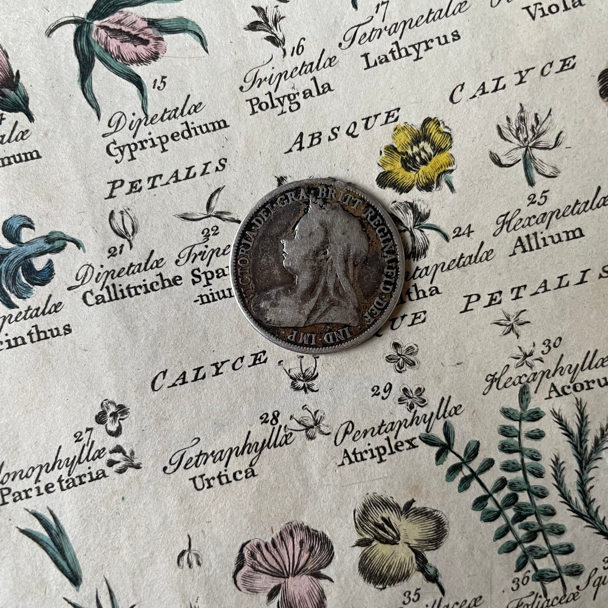 Edith Love Token – No.4 Vintage